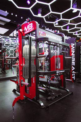 MB Ultimate ALL-IN-1 Total Home Gym – MiniBeast Enterprises, LLC