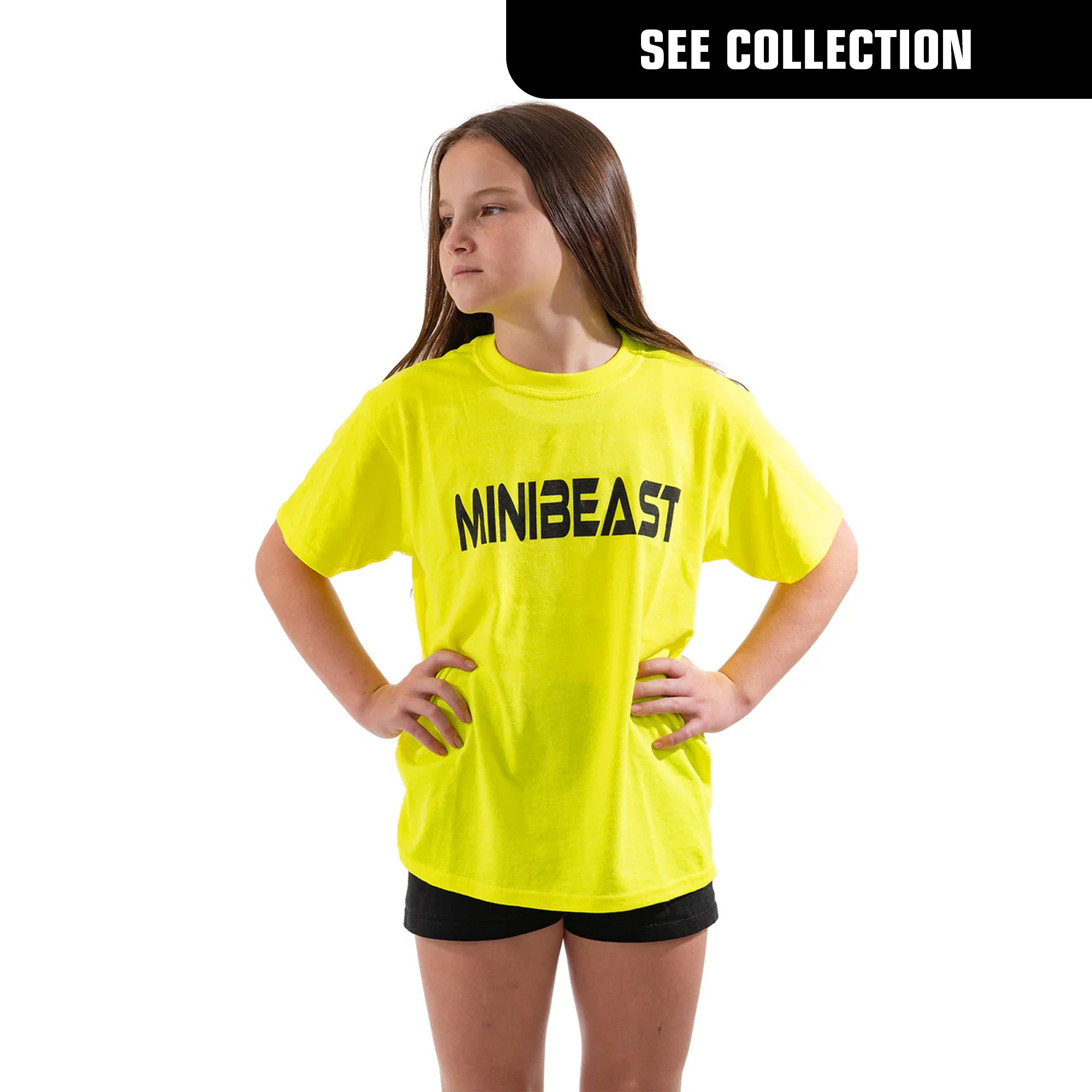 Collections – MiniBeast Enterprises, LLC