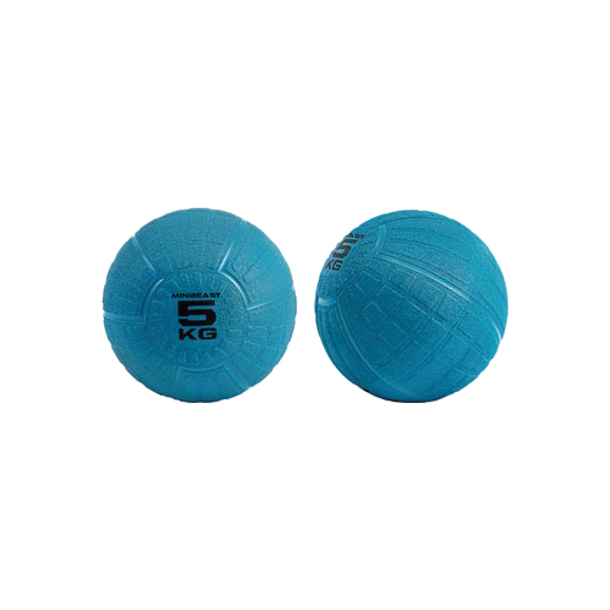 Medicine Ball – MiniBeast Enterprises, LLC